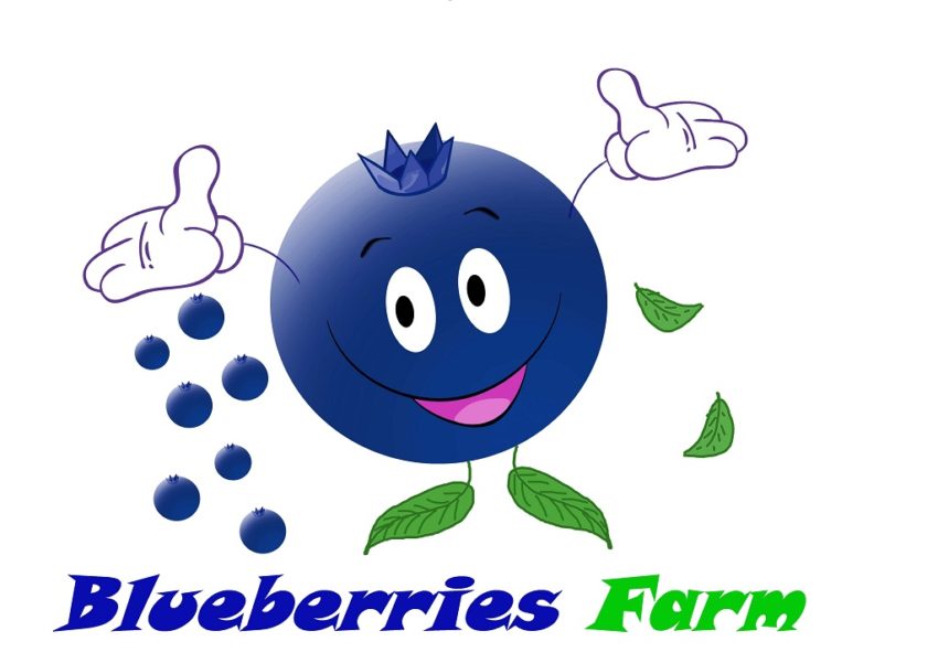 Video – BlueberriesFarm